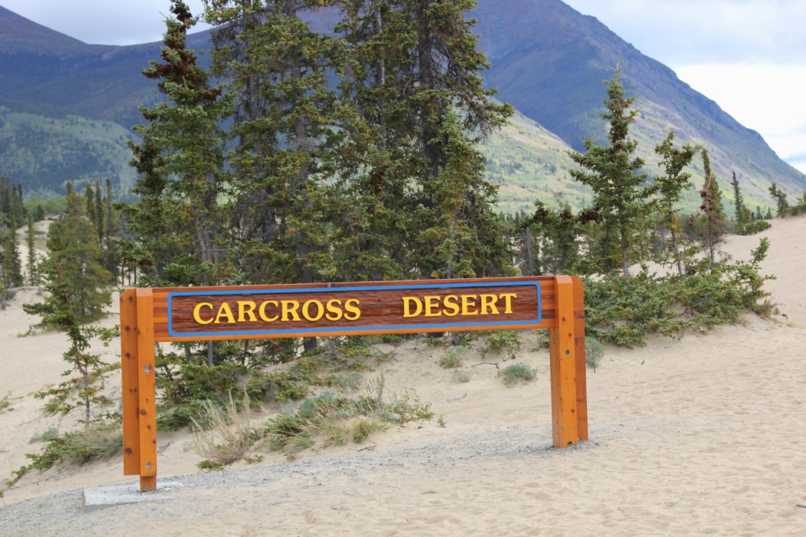 A testy bastard, at times.: South to Carcross, Yukon